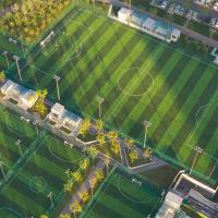 China Football Landscape Putting Green Grass Synthetic Turf Artificial Grass for sale