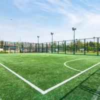 China 30mm Football Artificial Grass Artificial Turf Synthetic Turf For Garden Decoration for sale