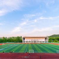 China 30mm Football Artificial Grass Artificial Turf Synthetic Turf For Garden Decoration for sale