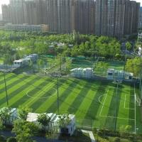 China Outdoor Nursery Football Artificial Grass 50mm PE Field Green for sale