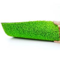 China 15mm 10mm Landscaping Artificial Grass Outdoor Fake Lawn Wedding Carpet Gym Flooring Football for sale