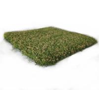 China Indoor SGS Artificial Golf Turf Grass 15mm Putting Green for sale