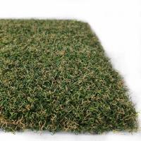 China Indoor SGS Artificial Golf Turf Grass 15mm Putting Green for sale
