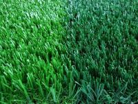 China Non Infilled Fake Football Grass 25mm Artificial For Soccer  3 / 8'' for sale