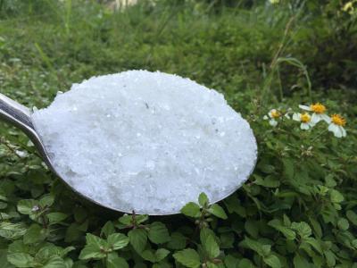 China 93/7 Anti Yellowing TGIC Polyester Resin NH3306 Excellent Impact Resistance for Texture Powder Coating for sale