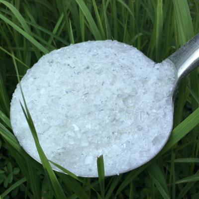 China NH7401 Isophthalic Polyester Resin 280-320 Hydroxyl Value for PU Powder Coating for sale
