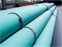 China Fusion Bonded FBE Thermoset Epoxy Powder Coating for Pipe Steel Rebar 1.2-1.8 g/cm3 for sale