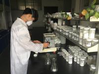 China Polyester Epoxy Resin HH2608GT for 60/40 Hybrid Powder Coatings 95-105°C for sale