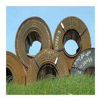 China Hot Rolled 42crmo Alloy Steel Coil Iso Certificated for sale