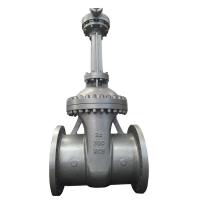 China Api 6d Standard 2 3 Inch Flanged Carbon Steel Gate Valve 300lb for sale