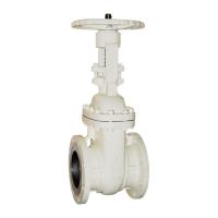 China Dn1000 Wcb Flange Type Manual High Temperature Gate Valve Z41h-16c for sale