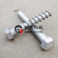China Surface Options Available For Big Disk Rail Screw Spike Plain Color Painting Zinc HDG for sale