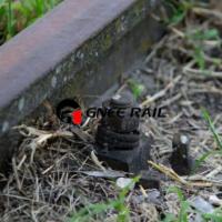 China Corrosion Resistant Rail Fasteners For Long-Lasting Railway And Bridge Construction for sale