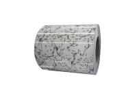 China Dx51d 6 Gauge Pre Painted Steel Coil Hot Dip Galvanization for sale
