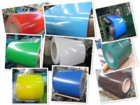China Dx51d Z100 28 Gauge Zinc Coated Galvanized Steel Sheet In Coil for sale