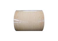 China Z275 Color Coated Steel Coil for sale