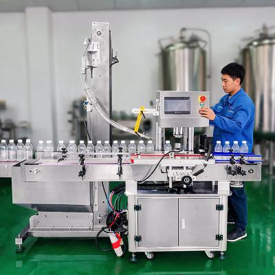 China 1500W 110V Pet Plastic Metal Wine Bottle Capping Machine Automatic Filling for sale