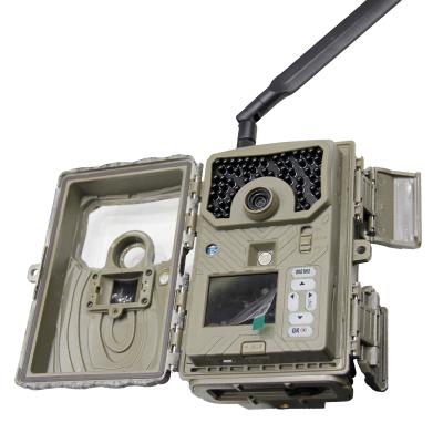 China AM-38 4K/30MP Wildlife Infrared Monitoring Camera - Cloud AI , 2-Year Standby & Extreme Environment Ready for sale