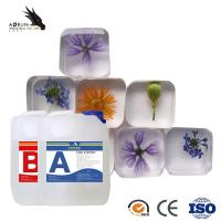 China 2:1 Casting And Coating Epoxy Resin High Gloss Heat Aging Resistant for sale