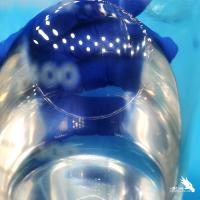 China No VOC BPA Free Epoxy Resin AB Glue 1:1 Non Toxic Crystal Clear for sale