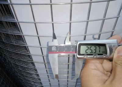 China 1``X1`` Welded wire mesh  steel welded wire mesh  stainless steel welded wire mesh for sale