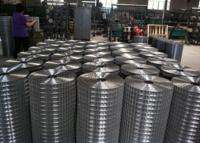 China 1``X1`` Welded wire mesh  steel welded wire mesh  stainless steel welded wire mesh for sale