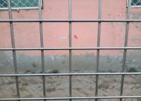 China 4x4 Welded Wire Mesh 0.250 In Wire Diameter For Bridge / Garden for sale