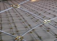 China Square Hole Slope Protection Mesh Netting Length Cunstomized For Prevention Falling Rocks for sale