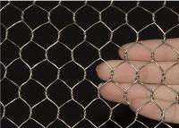 China 0.5-2m Chicken Wire Mesh Netting , Hexagonal Poultry Wire Mesh for sale