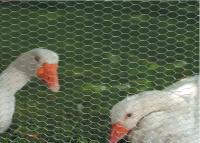 China PVC Coated Galvanized Chicken Wire Mesh 0.5-5.0mm Wire gauge Free Sample for sale