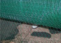 China PVC Coated Hexagonal Wire Mesh 0.6mm - 4.4mm Hexagonal Plastic Mesh for sale