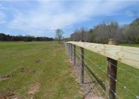 China Protection Electro Galvanized Steel Cattle Fence , Deer / Grassland Wire Fence for sale