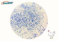 China Compound Probiotics Product Improving Intestinal Health And Promoting Feed Utilization for sale