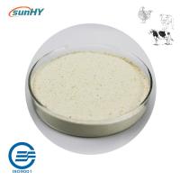 China Sunhy Clostridium Butyricum Improving Animals Intestinal Health And Growth Performance for sale