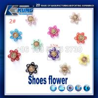 China 2D 3D PVC Shoe Buckle Accessories - Custom Sizes & Multiple Colors | Eco-Friendly Soft Plastic Manufacturing for sale