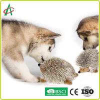 China Angelber Squeaky Hedgehog Dog Toy 3.5