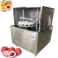 China Electric Prunes Pitting Machine The Ultimate Solution for Best Rad Date Fruit for sale
