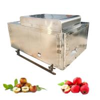 China 1.5kw Zizyphus Jujube Pitting Machine for Date Palm Processing in the Industry for sale
