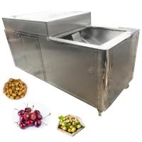 China Multifunctional Cherry And Olive Jujube Pitter Corer Seed Remover Machine In Food Shop for sale