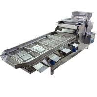 China Macadamia Cashew Nut Peanut Almond Cutting Crushing Chopping Machine with 380 KG Capacity for sale