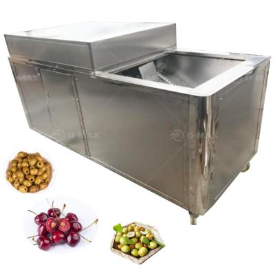 China Jujube Seed Remove Machine Best Palm Dates Processing Equipment for Core Removing for sale