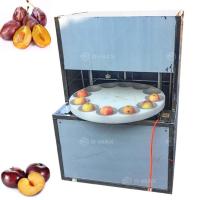 China Fruits Pitting Machine Lychee De-seeding Machine for Seed Removal of Apple and Lychee for sale