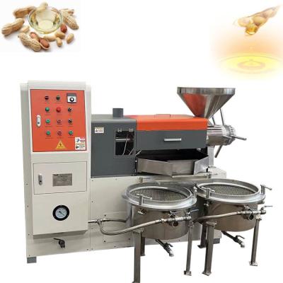 China 1650*1300*1600mm Grape Seed Spiral Palm Big Cashew Nut Shell Oil Press Extraction Machine for sale