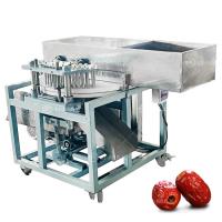 China Rotary Date Palm Pitting Machine for Olive Seed Removing in Food Beverage Industry for sale