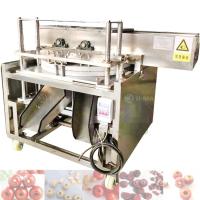 China Dates Pitting Machine for Removing Olive Seed Cores Nuclear Deseeding Plum Kernel Stone for sale