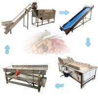 China Vegetable and Fruit Washing Packing Line for Electric Spiral Sweet Potato Cutter for sale