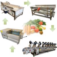 China Vegetable Fruits Cleaning Washing Line Machine for Commercial Frozen Food Processing for sale