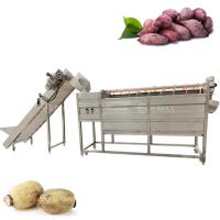 China Industrial Frozen Vegetable Production Line for Fresh Vegetable Cleaning and Drying for sale