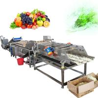 China Fruit Processing Machine 2500*1000*1300mm for Clean Root Leafy Vegetable Asparagus Washing for sale