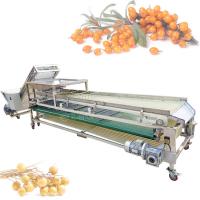 China Red Dates Size Sorting Machine for Customized 4-7 Grades Palm Dates Classification for sale